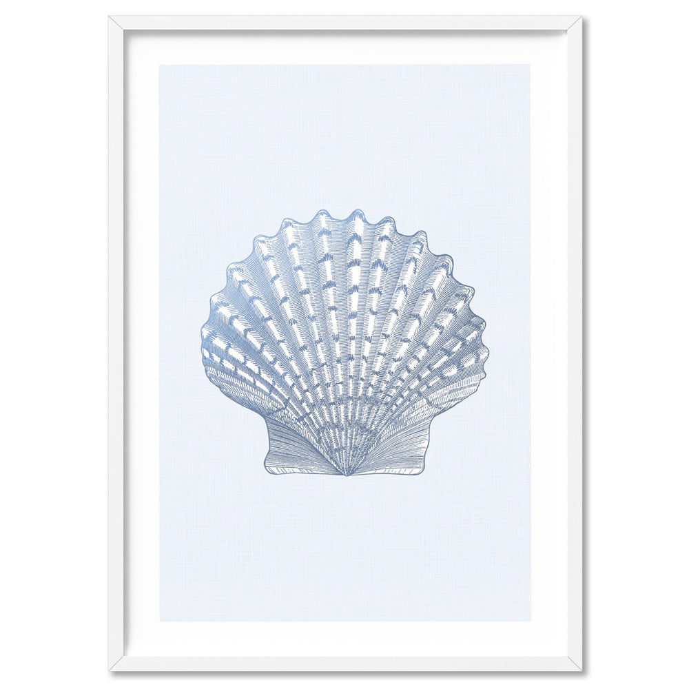 Modern Sea Shell Poster. Lions Paw Scallop. Hamptons Art – Print and ...