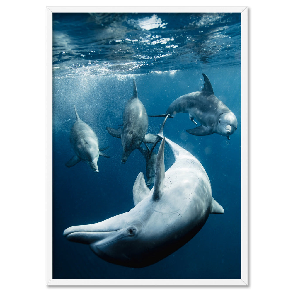 Dolphins Art Print. Underwater Bottlenose Dolphins Poster – Print and ...