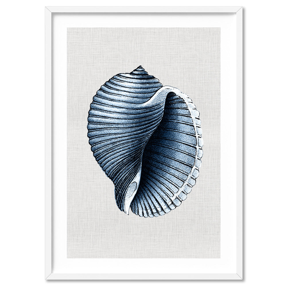 Scotch Bonnet Shell Poster. Navy Hamptons Coastal Wall Art – Print and ...